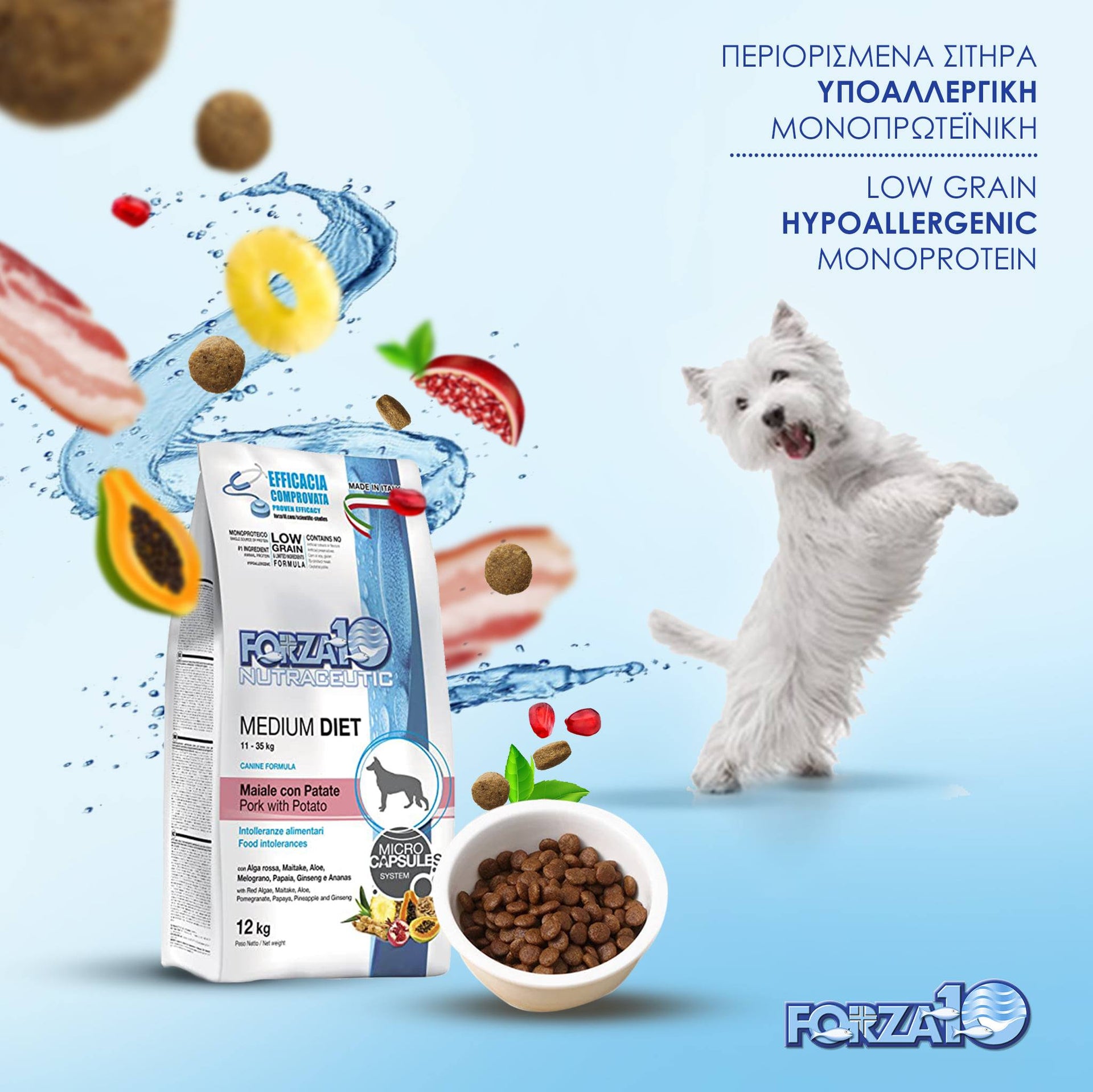 Offers – petshopmalta.com